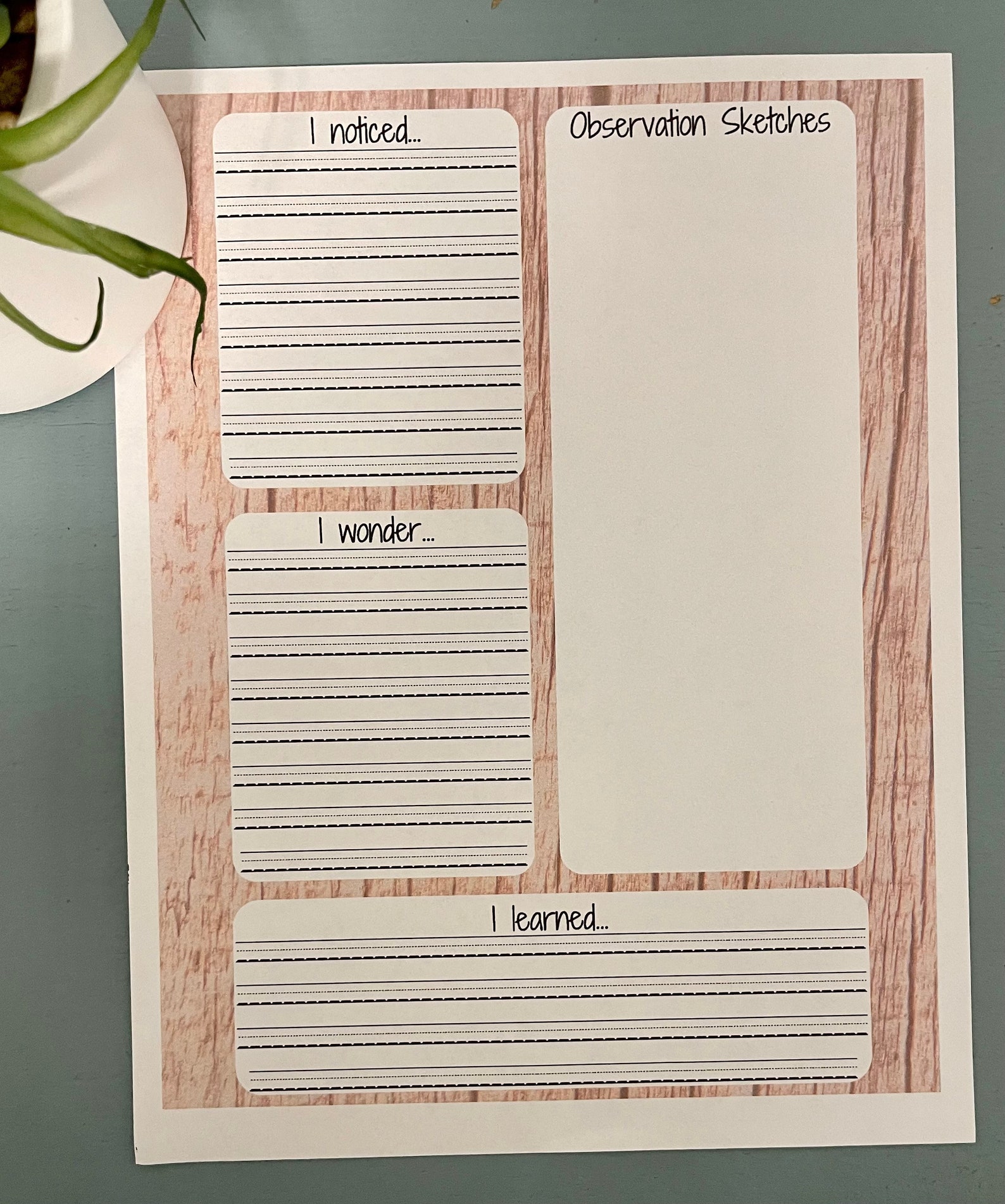 Nature Journal Wonder Inquiry Student Choice Observation - Etsy