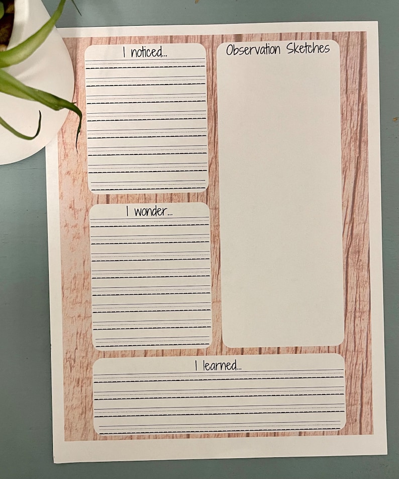 Nature Journal Wonder Inquiry Student Choice Observation - Etsy