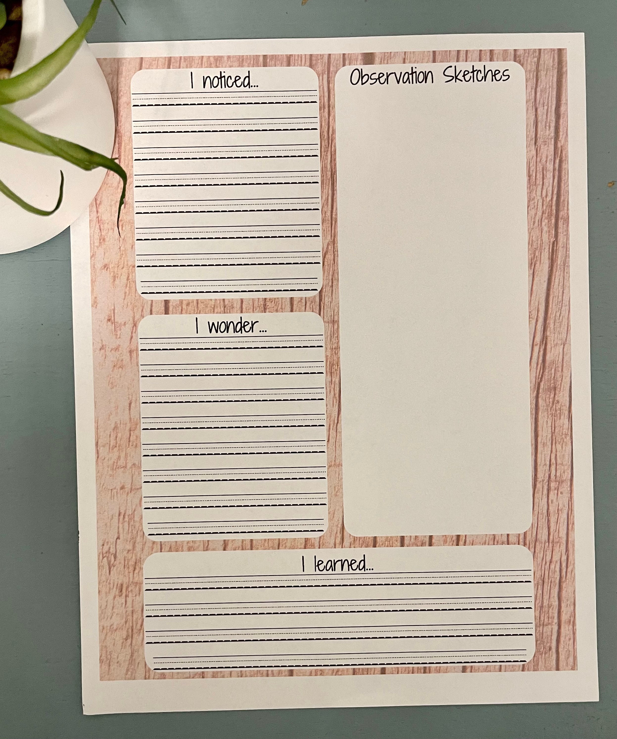 Nature Journal Wonder Inquiry Student Choice Observation - Etsy