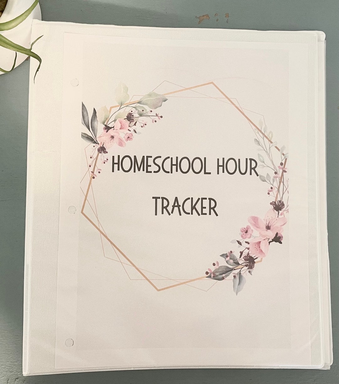Homeschool Organization Hour Tracker Time Tracker Subject Checklist - Etsy