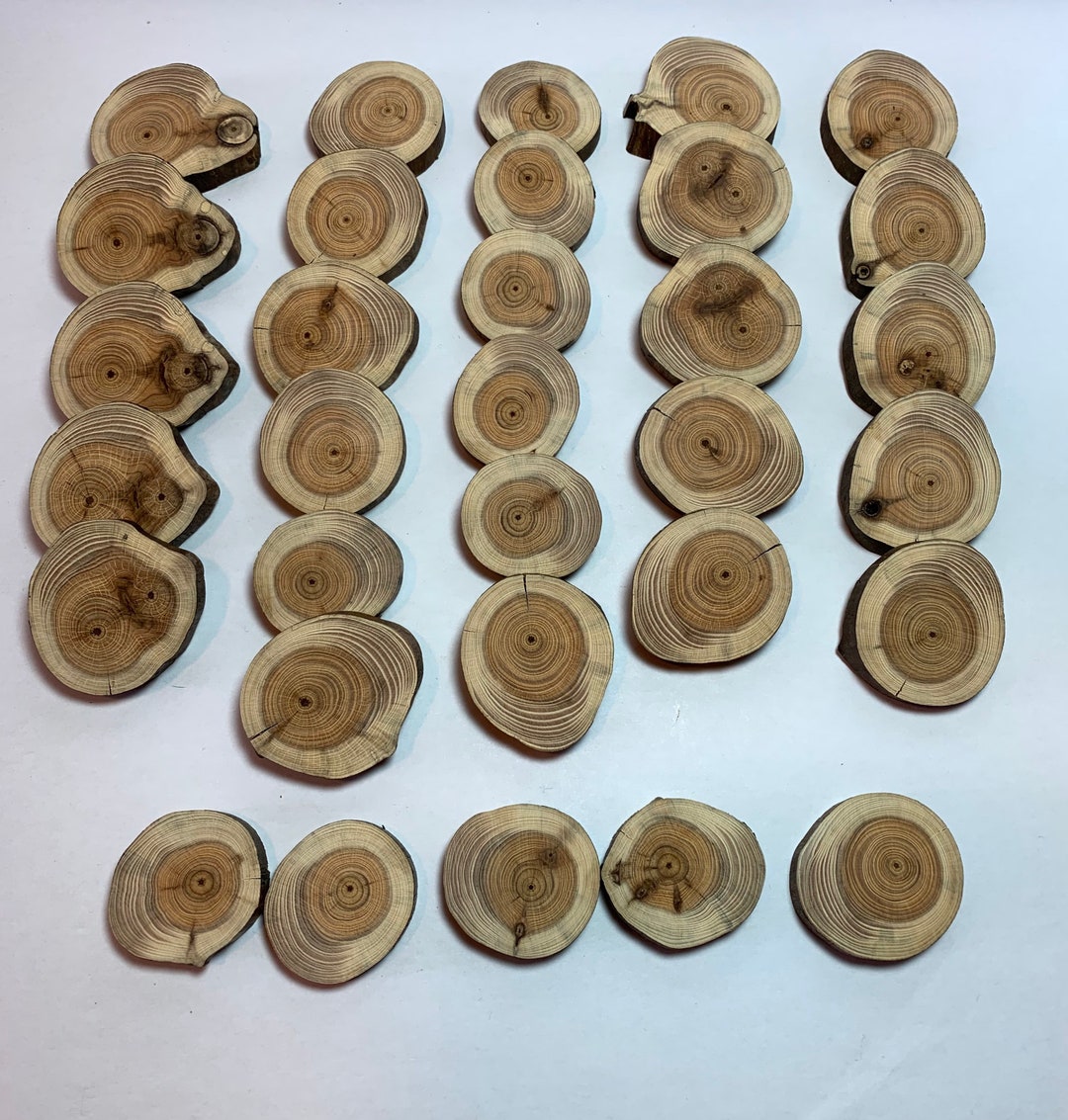 37x Yew Slices Yew Wood 35-45 Mm Ground (E37/8) - Etsy