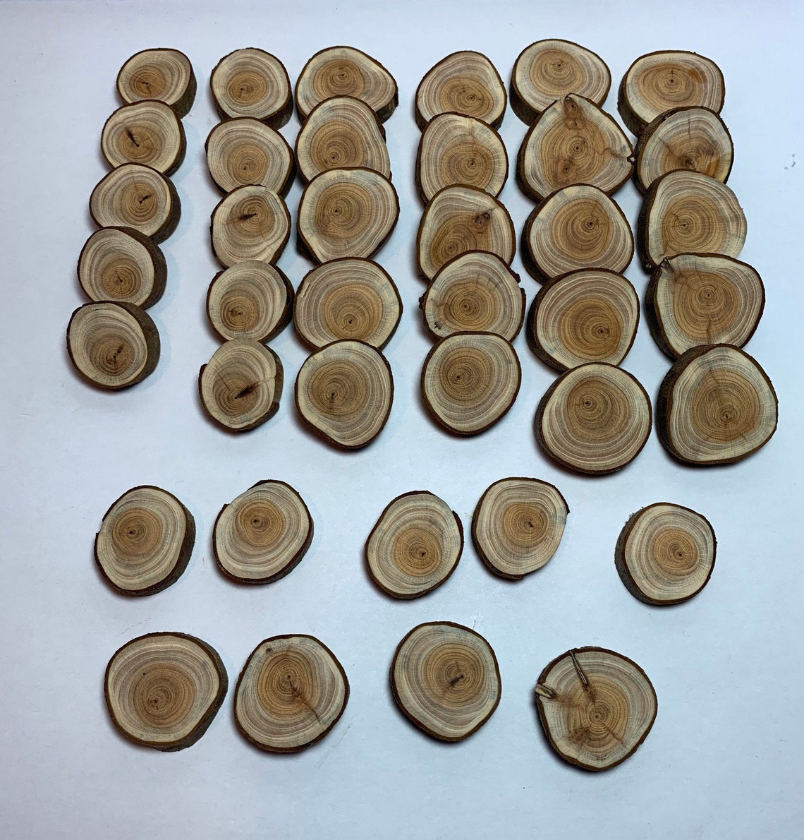 39x rodajas de tejo madera de tejo 25-35 mm molido E39/10 - Etsy España