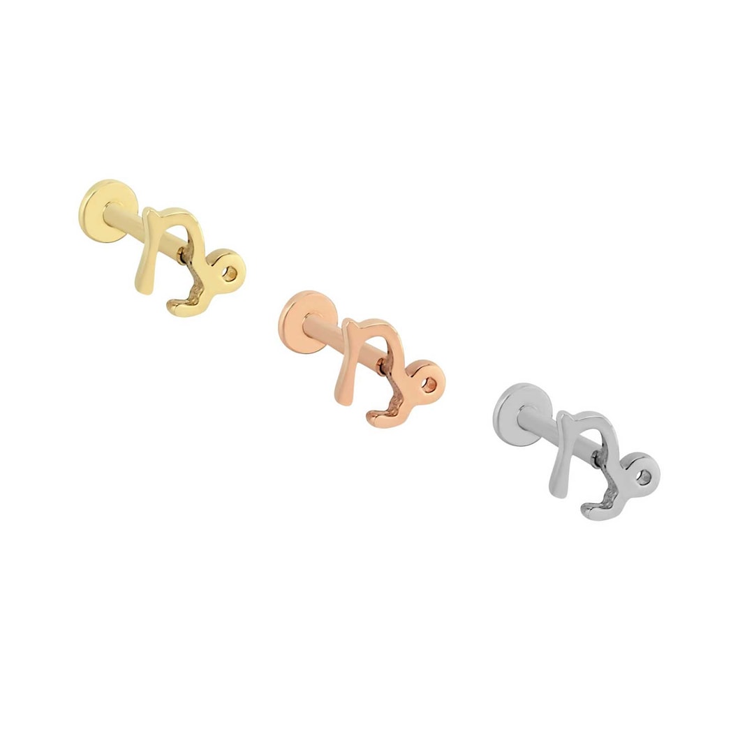 Capricorn Zodiac Sign Minimalist Tragus Ear Piercing Stud Real 14K ...