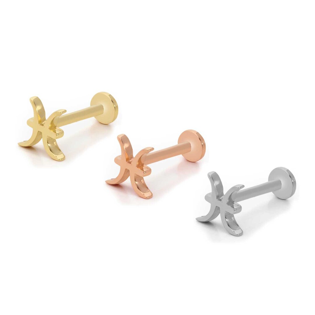 Pisces Zodiac Sign Minimalist Tragus Ear Piercing Stud Real 14K Solid ...