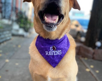 Ravens Dog Collar - Etsy