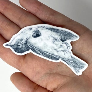 Dead Bird Sticker Heartless Bird Sticker Dead Animal - Etsy