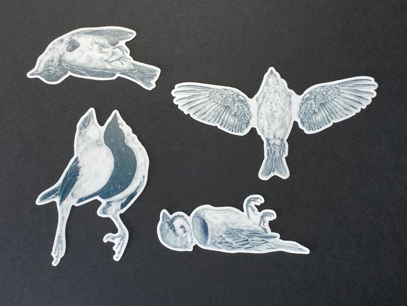 Dead Bird Sticker Set Dead Animal Art Minimalist Sticker | Etsy
