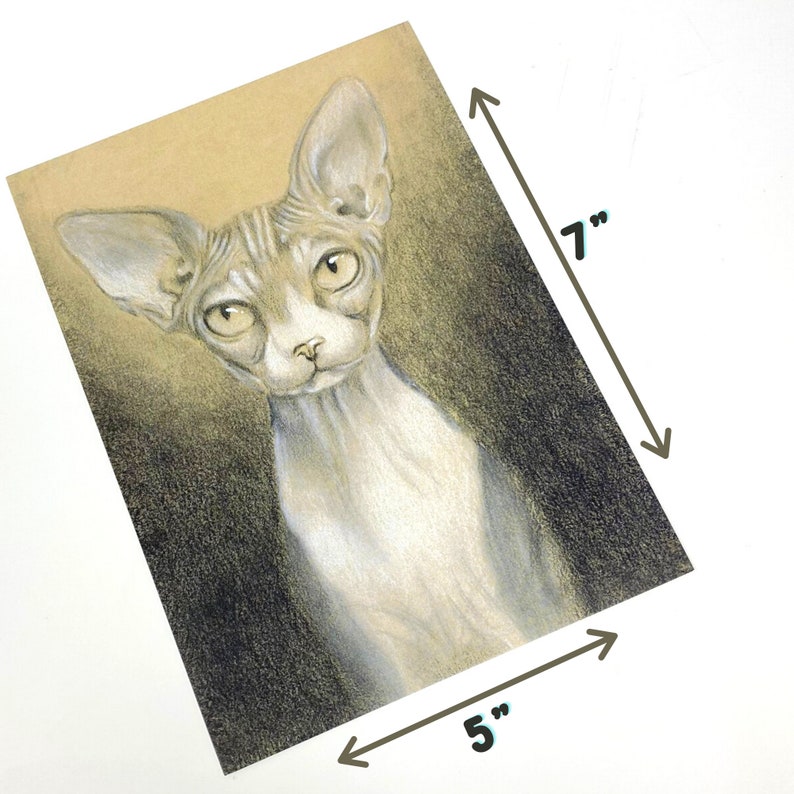 Sphynx Art Print Hairless Cat Drawing Cat Mom Art Cat | Etsy