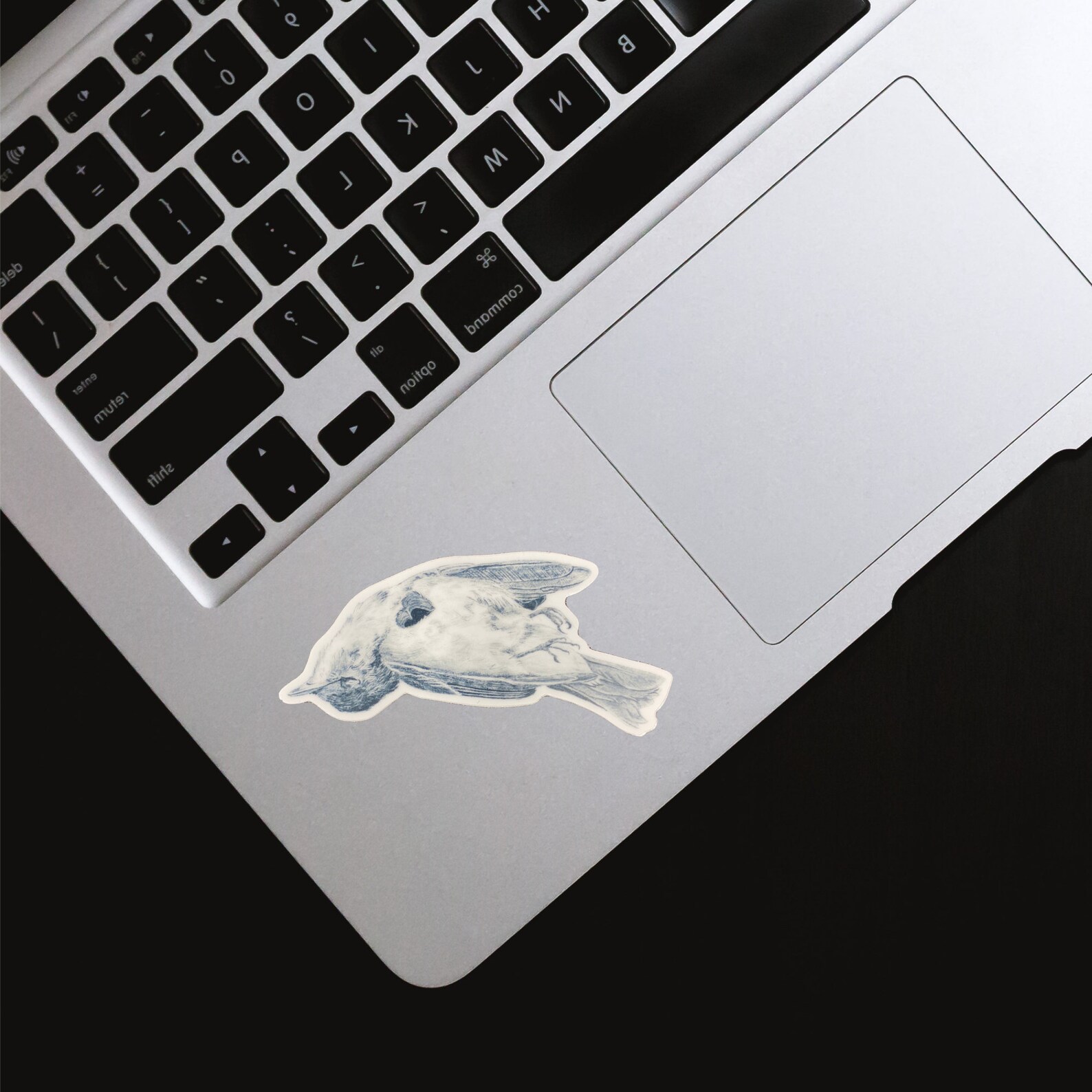 Dead Bird Sticker, Heartless Bird Sticker, Dead Animal Stickers, Dead ...