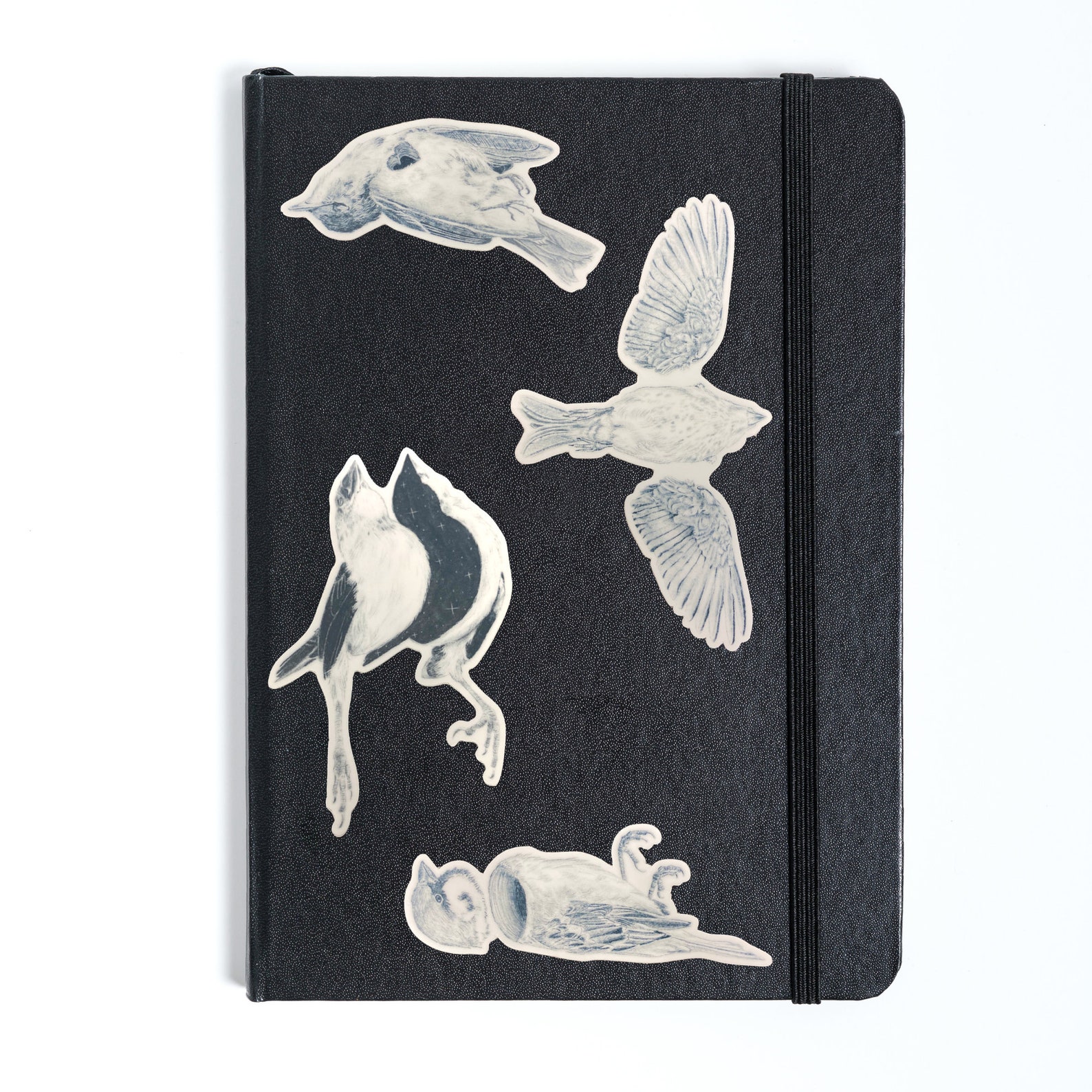 Dead Bird Sticker, Heartless Bird Sticker, Dead Animal Stickers, Dead ...