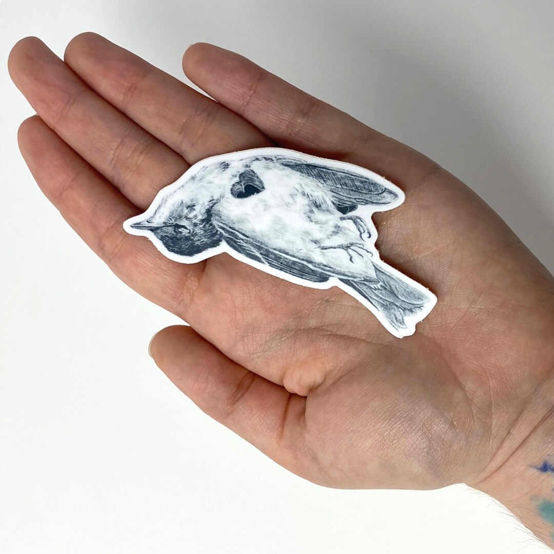Dead Bird Sticker Heartless Bird Sticker Dead Animal - Etsy