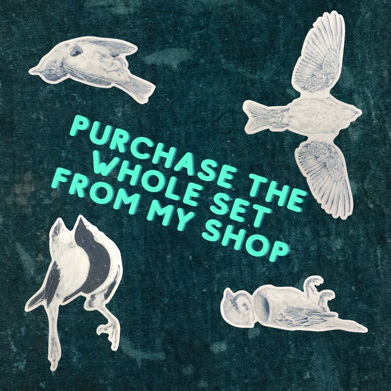 Dead Bird Sticker, Heartless Bird Sticker, Dead Animal Stickers, Dead ...