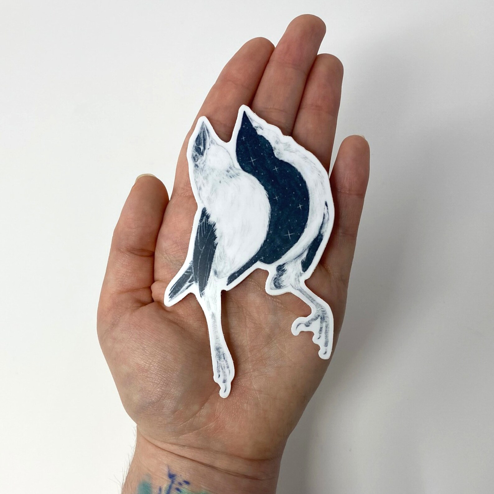 Dead Bird Sticker Set Dead Animal Art Minimalist Sticker | Etsy