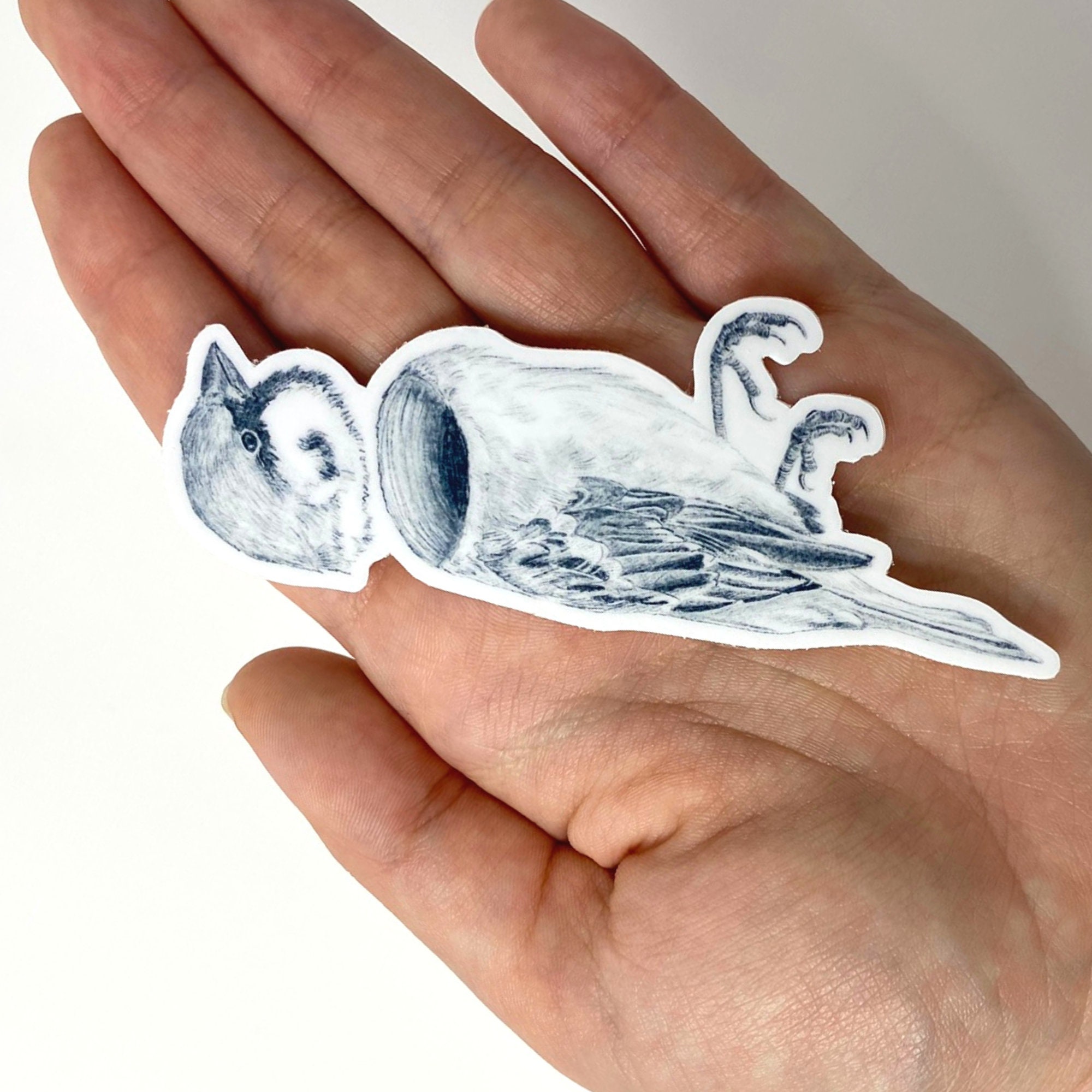 Dead Bird Sticker Set Dead Animal Art Minimalist Sticker | Etsy