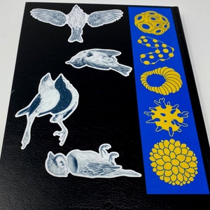 Dead Bird Sticker Heartless Bird Sticker Dead Animal - Etsy