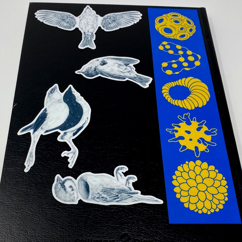 Dead Bird Sticker, Heartless Bird Sticker, Dead Animal Stickers, Dead ...