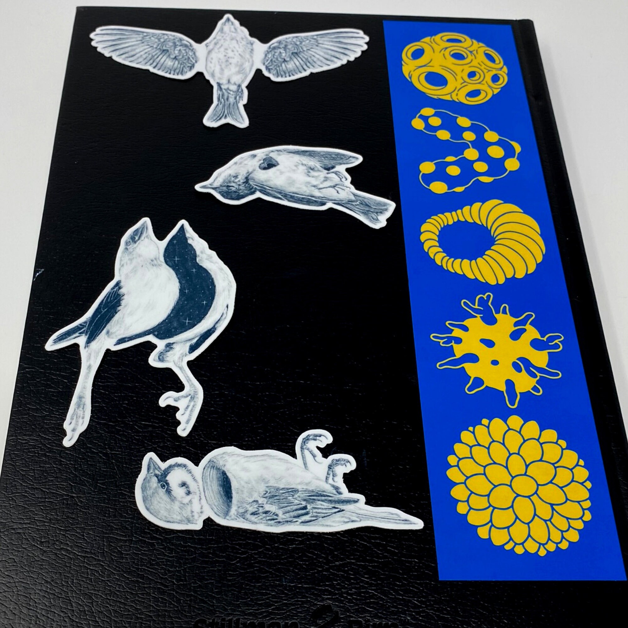 Dead Bird Sticker, Heartless Bird Sticker, Dead Animal Stickers, Dead ...