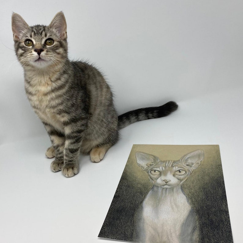 Sphynx Art Print Hairless Cat Drawing Cat Mom Art Cat - Etsy