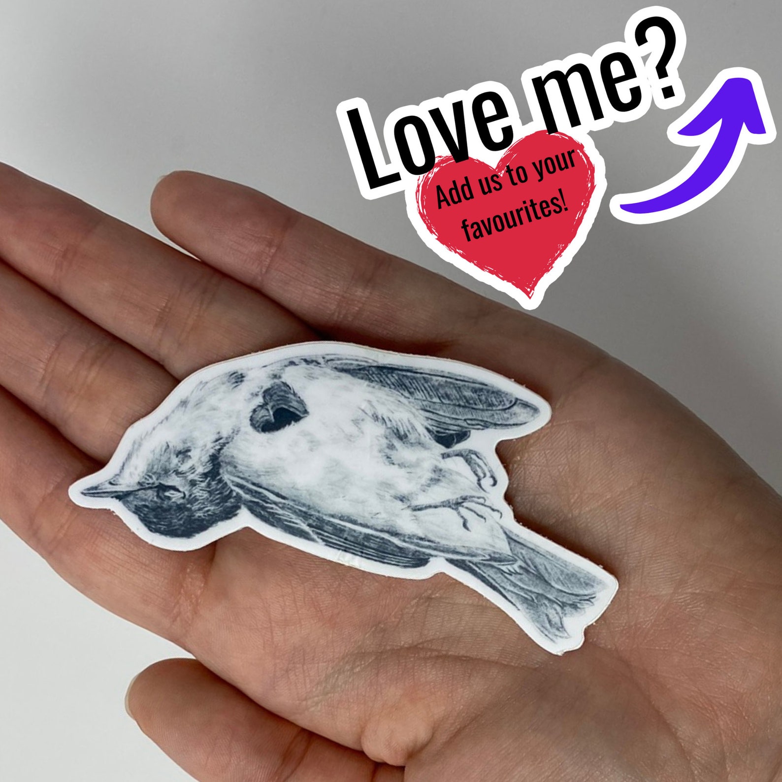 Dead Bird Sticker Heartless Bird Sticker Dead Animal - Etsy