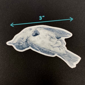 Dead Bird Sticker Heartless Bird Sticker Dead Animal - Etsy