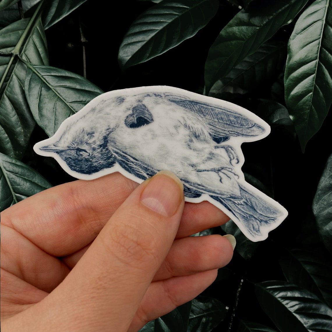 Dead Bird Sticker, Heartless Bird Sticker, Dead Animal Stickers, Dead ...