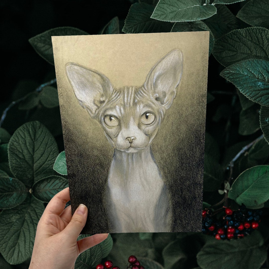 Sphynx Art Print, Hairless Cat Drawing, Cat Mom Art, Cat Drawing ...