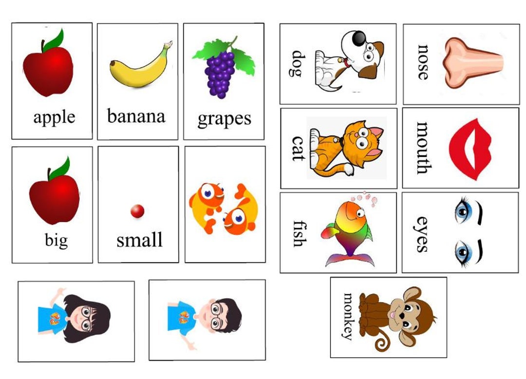 Palfish Trial Flashcards - Kindergraten and Prek - ESL Classroom Ready ...