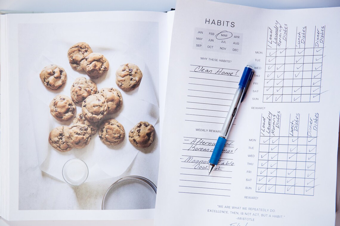 Printable Habit Tracker, Flylady Checklist, Flylady Daily Routine ...