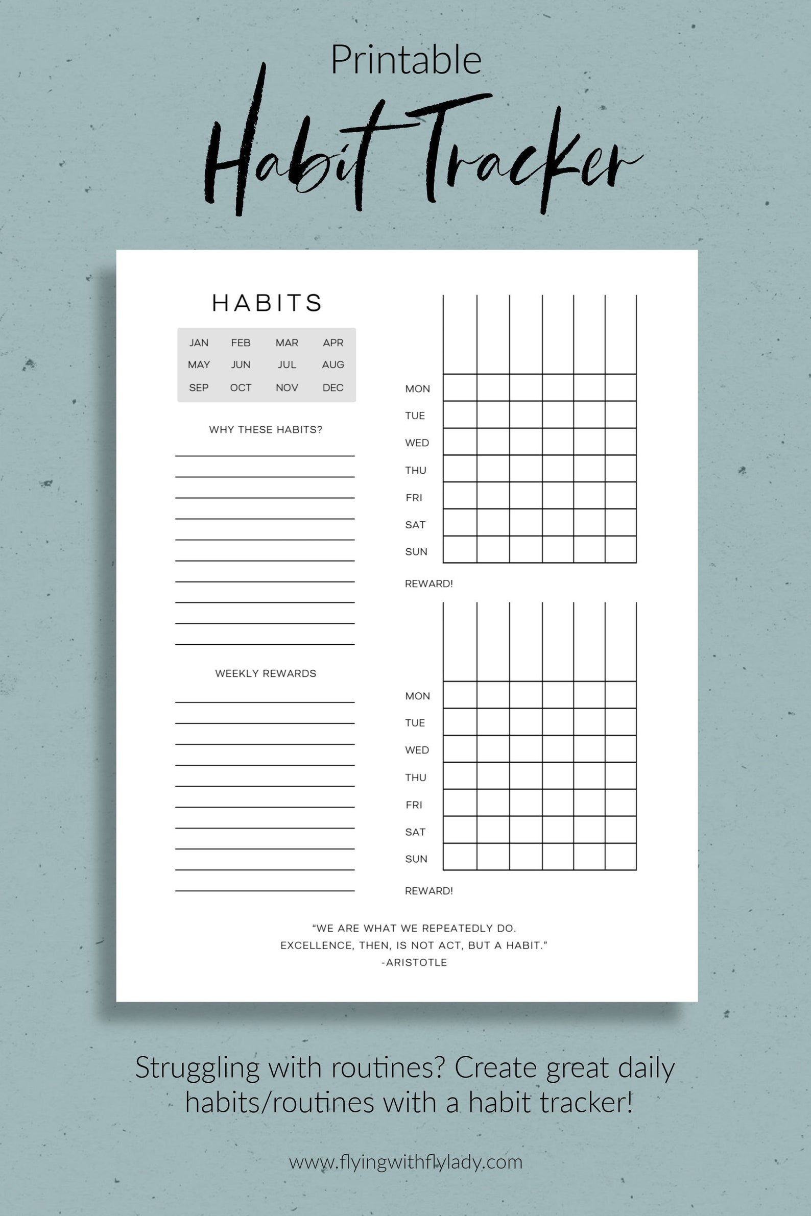 Printable Habit Tracker: Flylady Checklist (digital Download) - Etsy