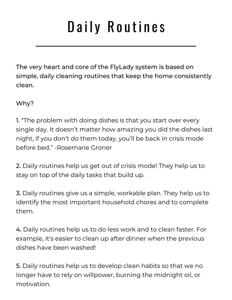 Flylady Control Journal: Complete System, Editable PDF (US Letter, A4 ...