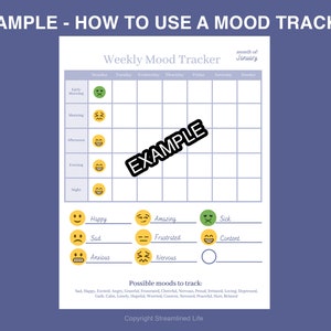 Digital/printable Mood Tracker Spreadsheet, Daily Mood Tracker, Mood ...