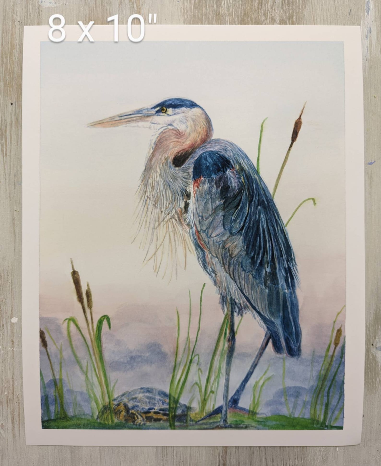 GREAT BLUE HERON Art Print / Poster Watercolor Design Lora Cavallin Art ...