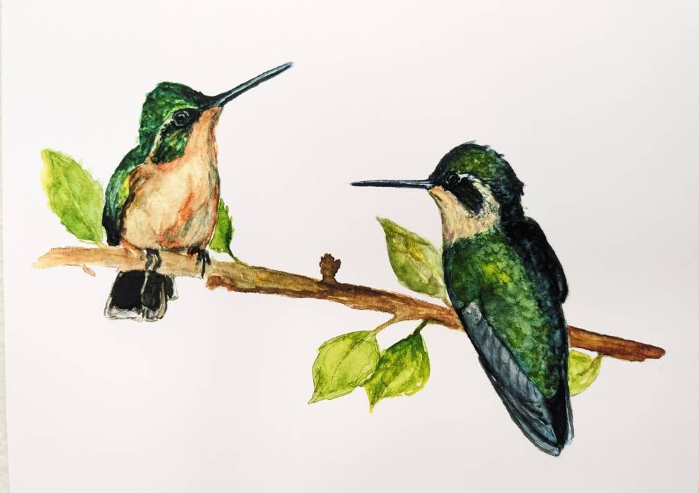Hummingbird Art Print - Watercolor Design - Bird Wall Art - Lora ...