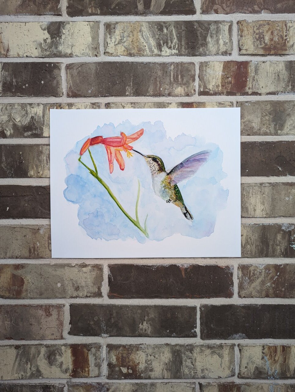 Hummingbird and Flower Art Print - Watercolor Design - Lora Cavallin ...