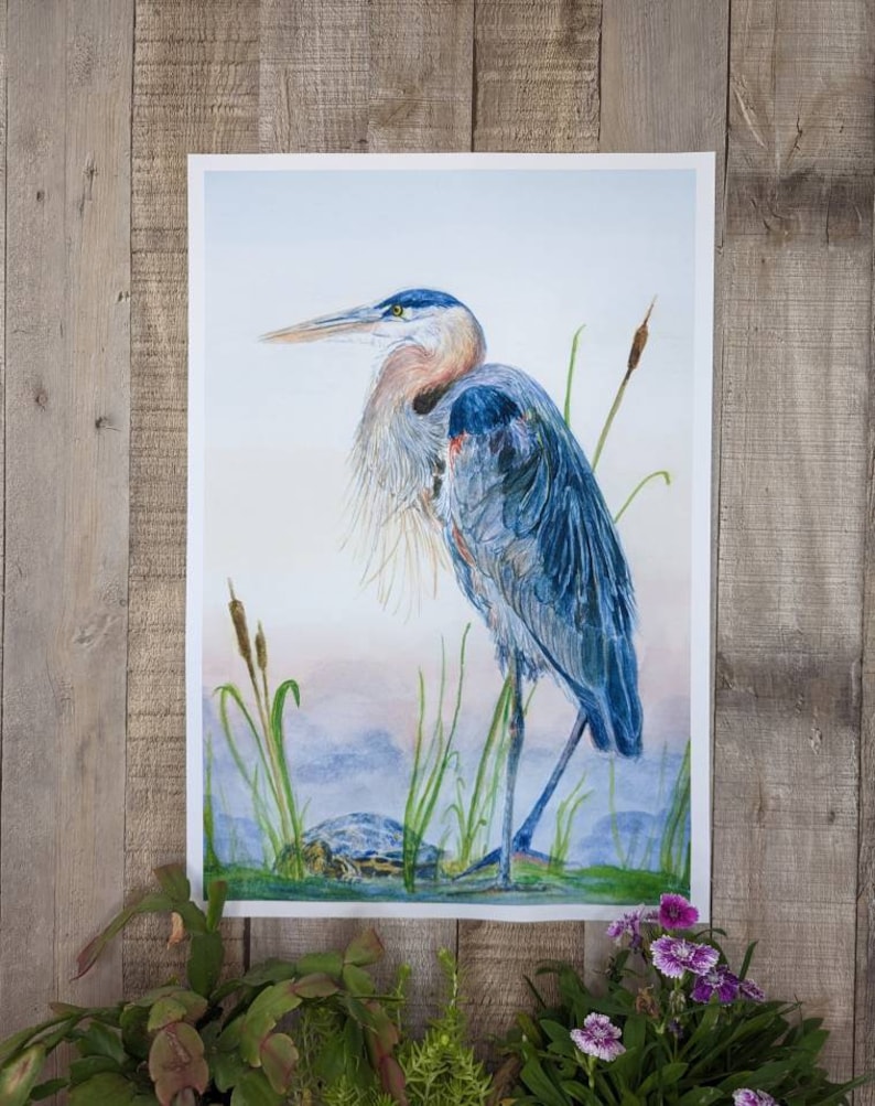 GREAT BLUE HERON Art Print / Poster Watercolor Design - Etsy