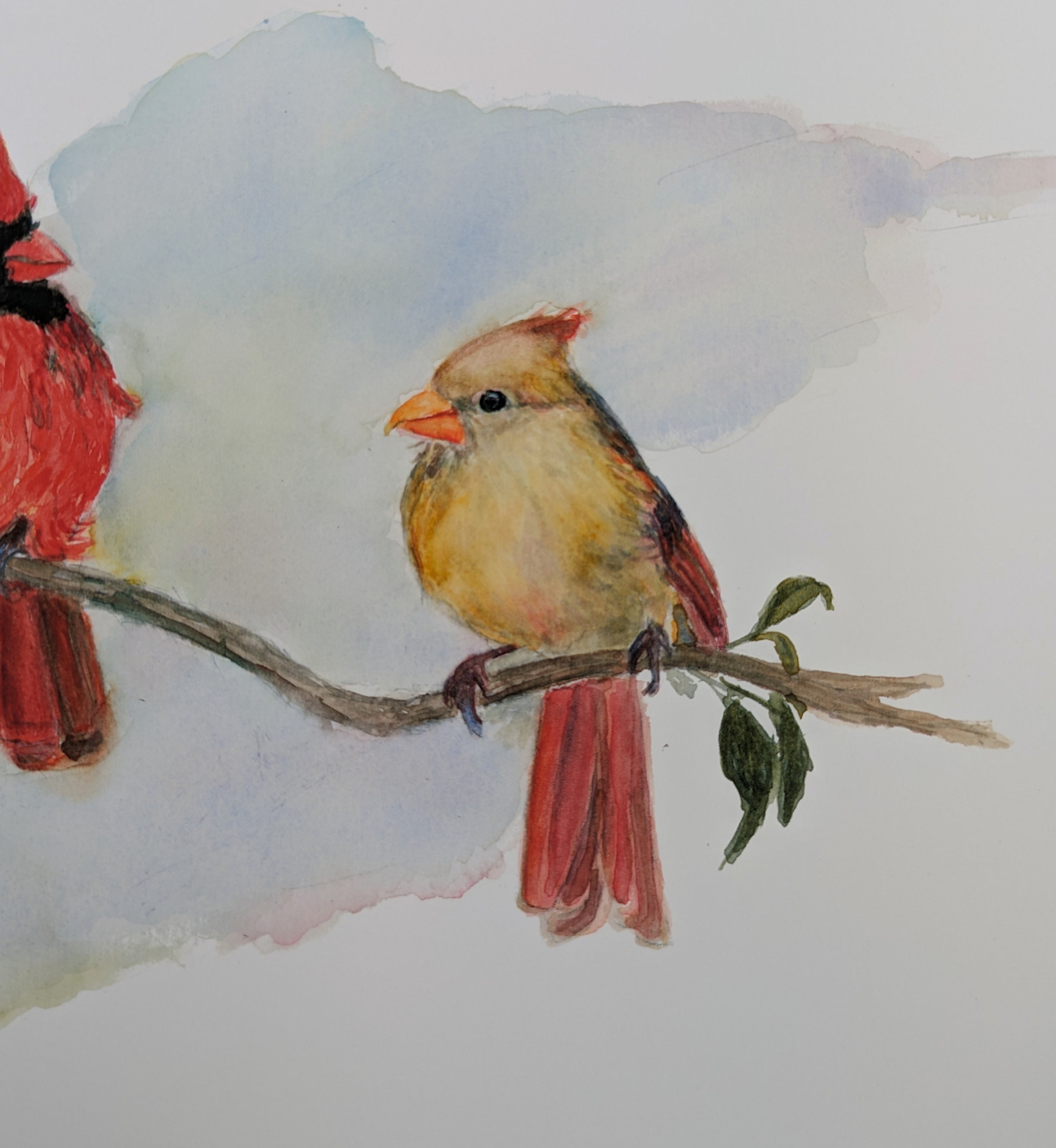Male and Female Cardinal Birds Print Watercolor Design Lora Cavallin ...
