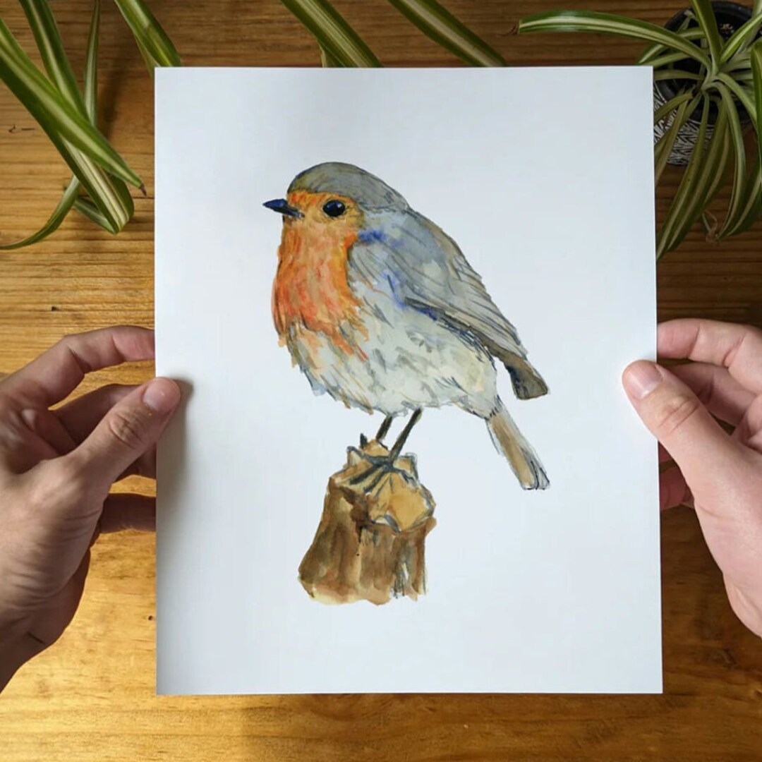 Northern Robin Bird Watercolor Art Print - Giclee Print - Lora Cavallin ...