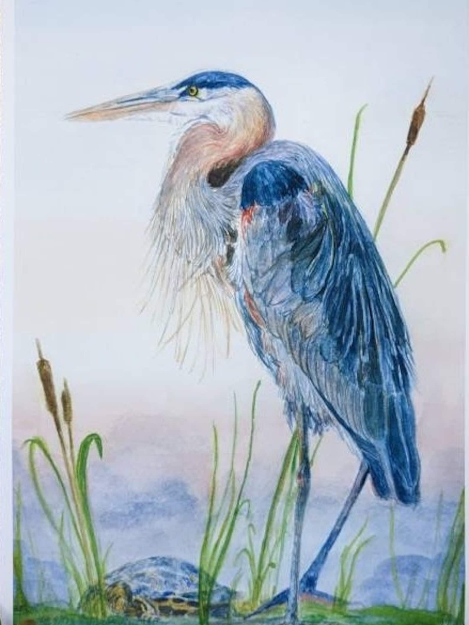GREAT BLUE HERON Art Print / Poster Watercolor Design Lora Cavallin Art ...