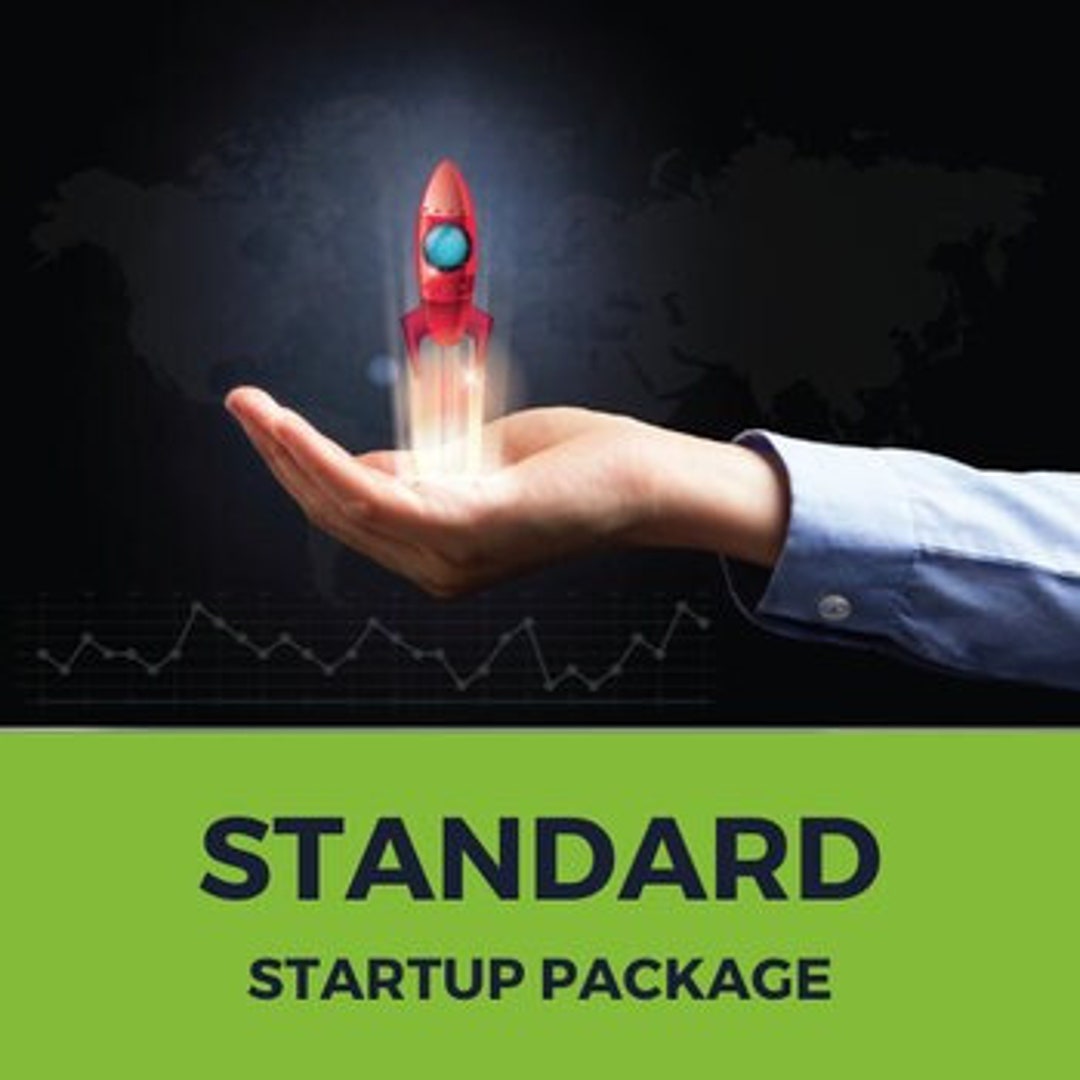 Standard Startup Package I Logo Brand Guide and Social Media Designs - Etsy
