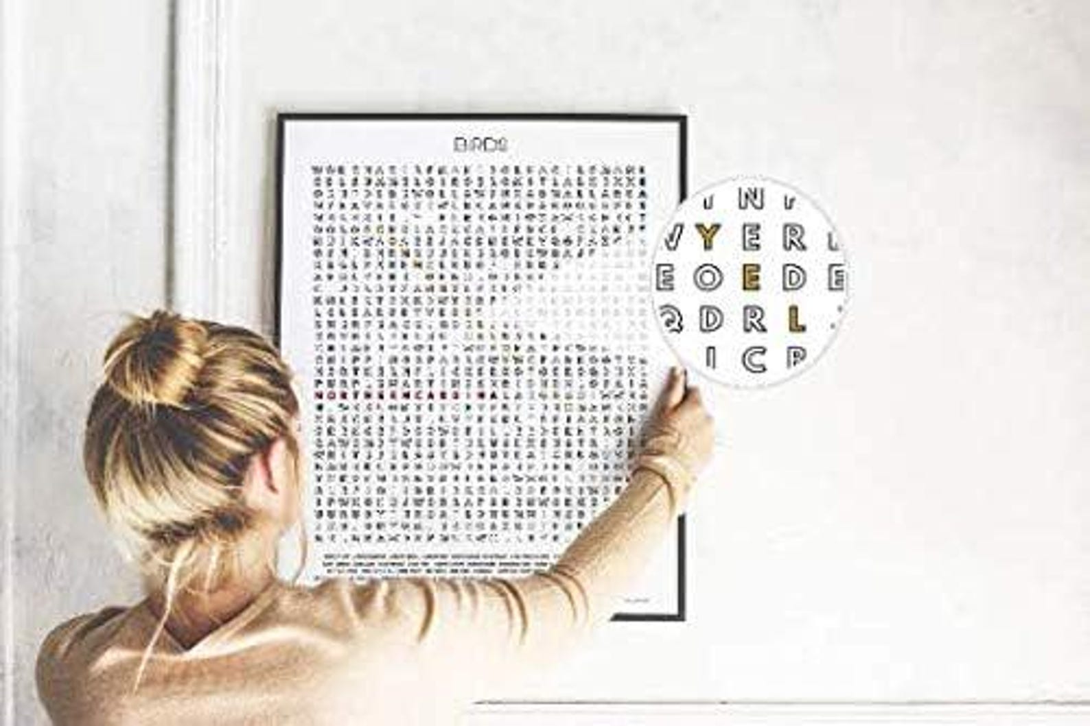 Birds of North America, Word Search Wall Art Poster Print, Unique ...