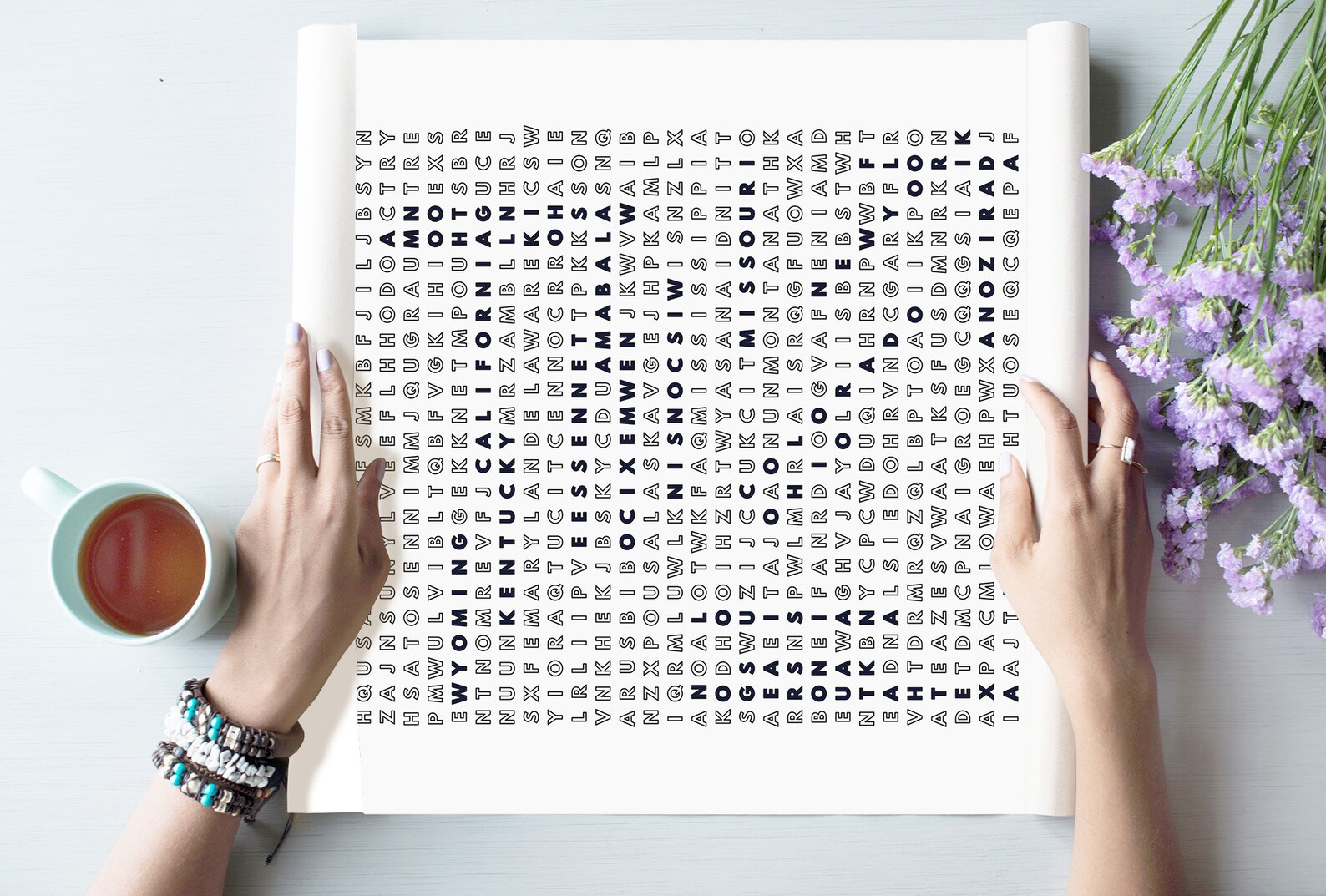 Birds of North America, Word Search Wall Art Poster Print, Unique ...