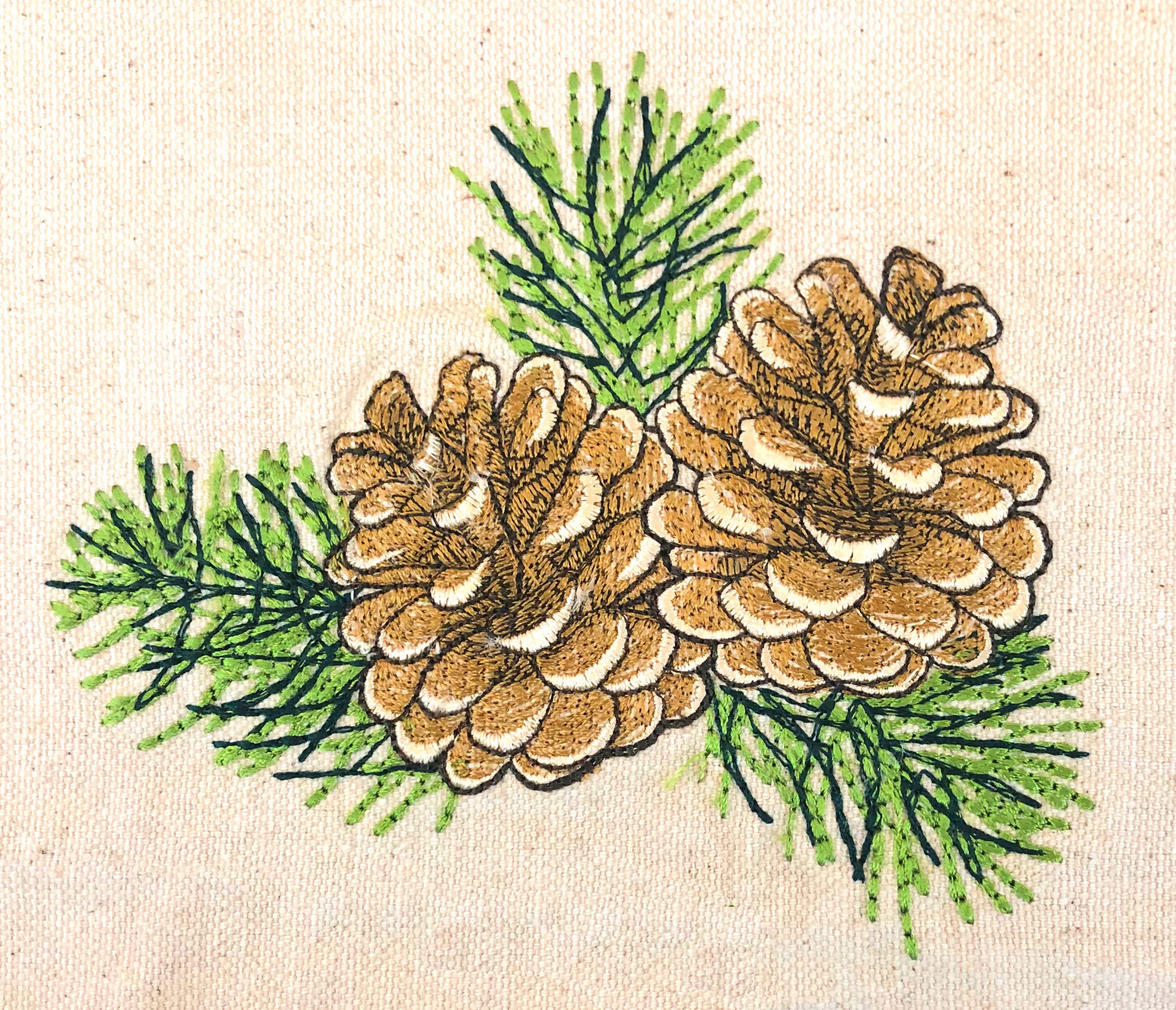 Pine Cone Design