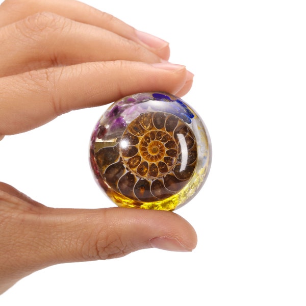 Beach Knobs - Etsy