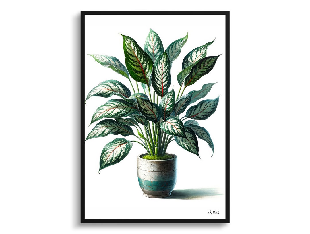 Dumb Cane Plant Botanical Print - Watercolor Framed Painting Wall Art ...