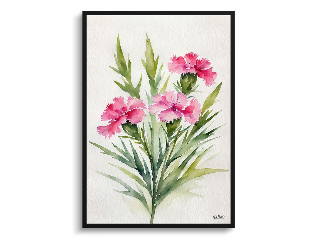 Dianthus Devon Wizard Minimalist Watercolour Botanical Art Print - Pink ...