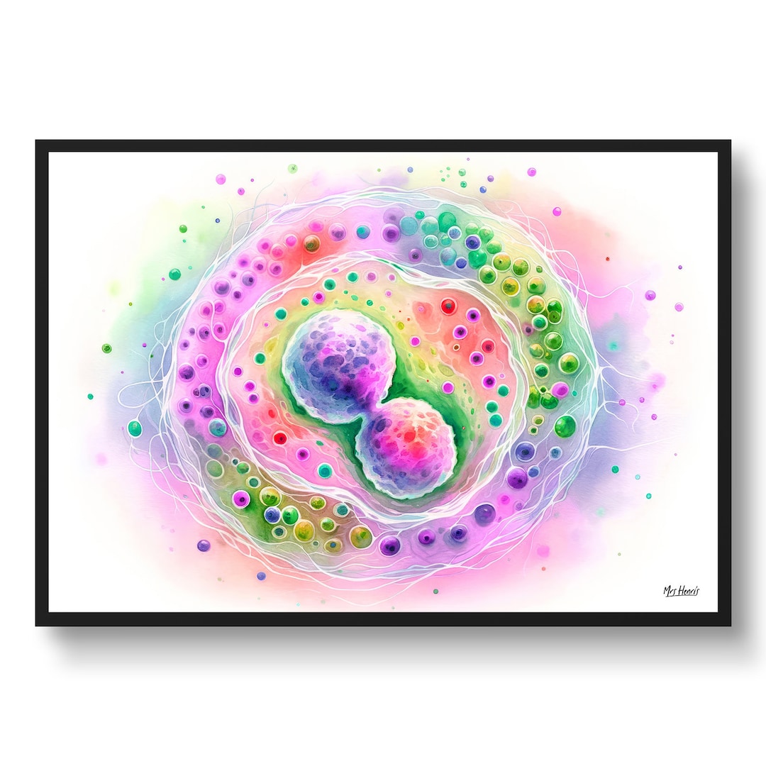 Science Human Cell Biology Wall Art Print Watercolour Cell Division ...