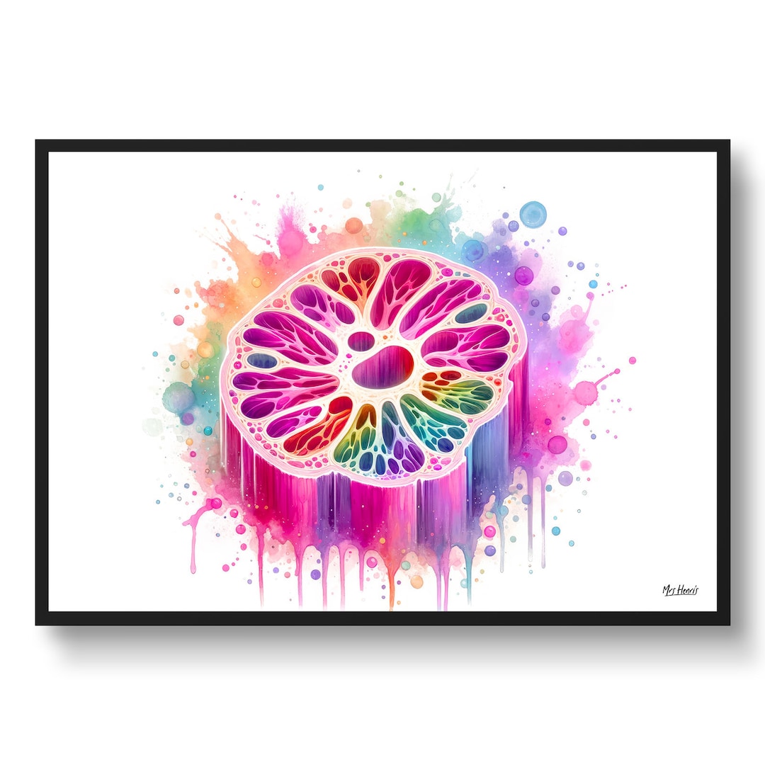 Hematology Anatomy Wall Art Print Watercolour Bone Marrow Medical ...