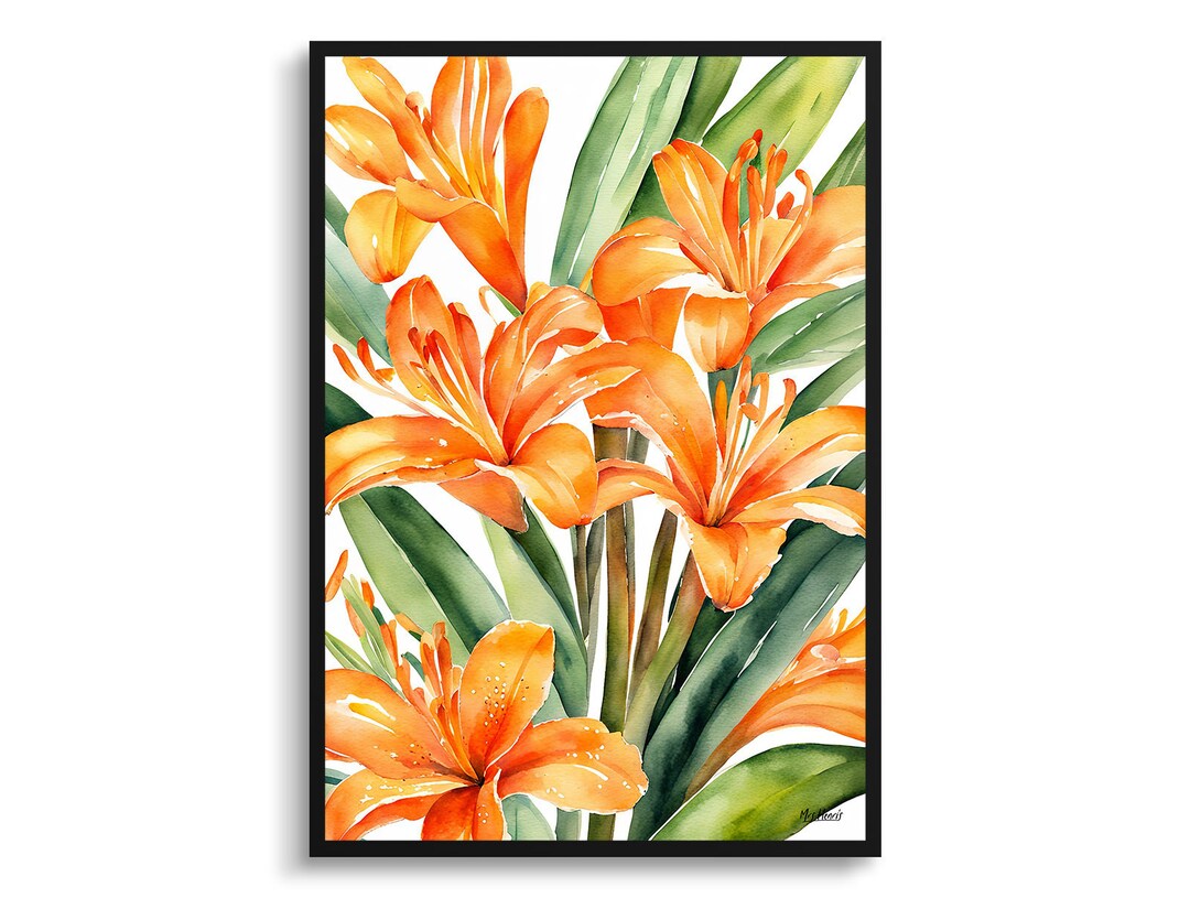 Clivia Watercolour Botanical Art Print - Natal Bush Lily Framed Plant ...