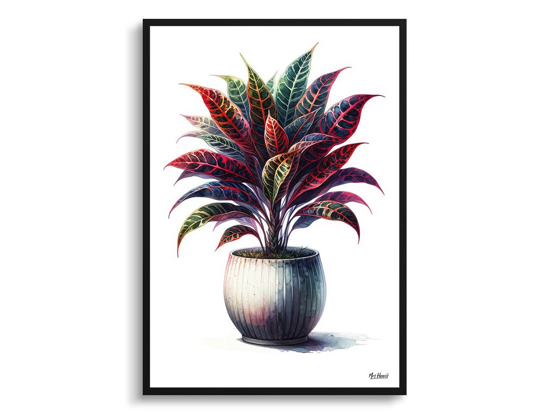 Croton Botanical Print - Watercolor Framed Painting Codiaeum Variegatum ...