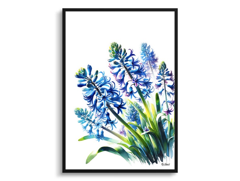 Botanical Art Wild Hyacinth (camassia Leichtlinii) Framed Plant ...
